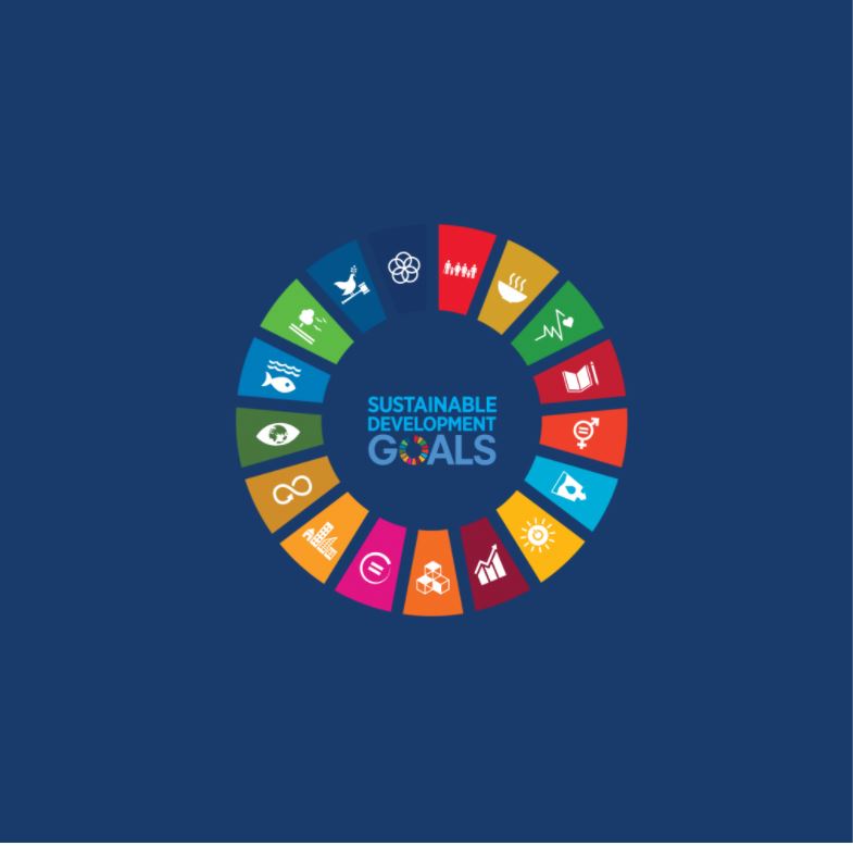 Bæredygtighed UN SDG goals | NNZ Nordic